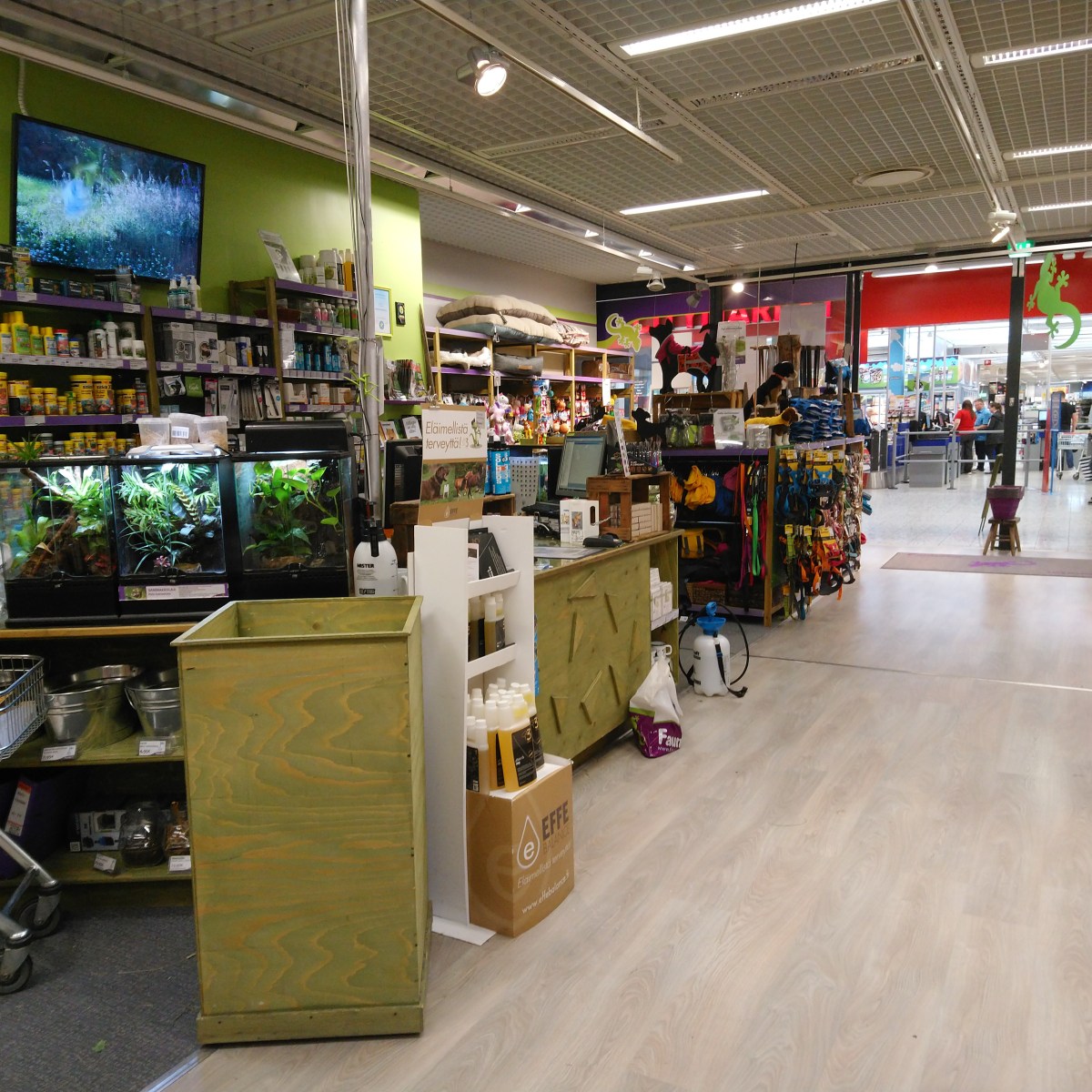 FAUNATAR – Maanantaikappale